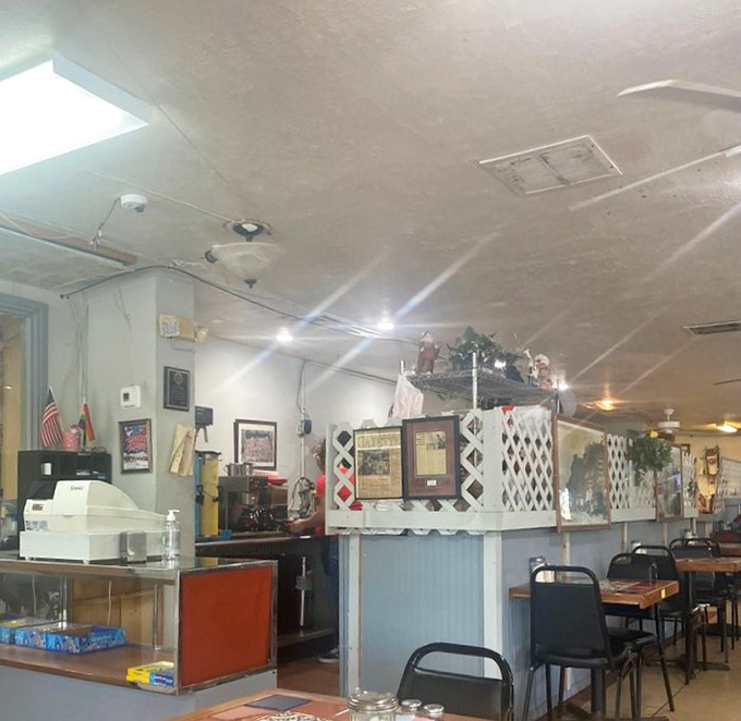 The counter area—where solo diners find community, regulars have "their spot," and the rhythm of the kitchen becomes visible theater.