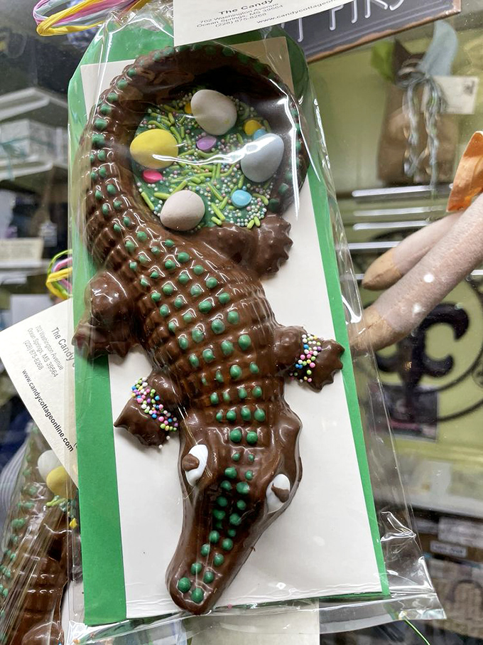 This chocolate alligator might be the only Mississippi gator you'd be happy to find in your Easter basket.