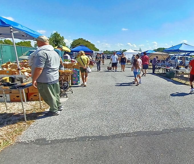 The outdoor market experience&mdash;where sunshine, fresh air, and the thrill of the find combine for the quintessential Pennsylvania weekend adventure.