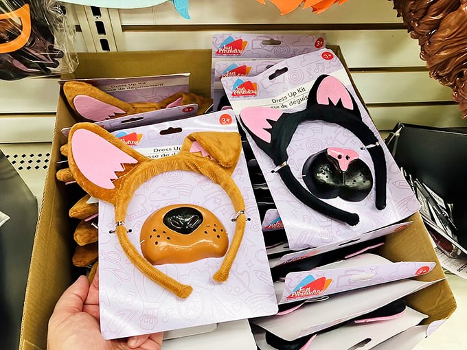 Costume accessories that transform ordinary days into adventures. Proof that imagination doesn't need a big budget to run wild.