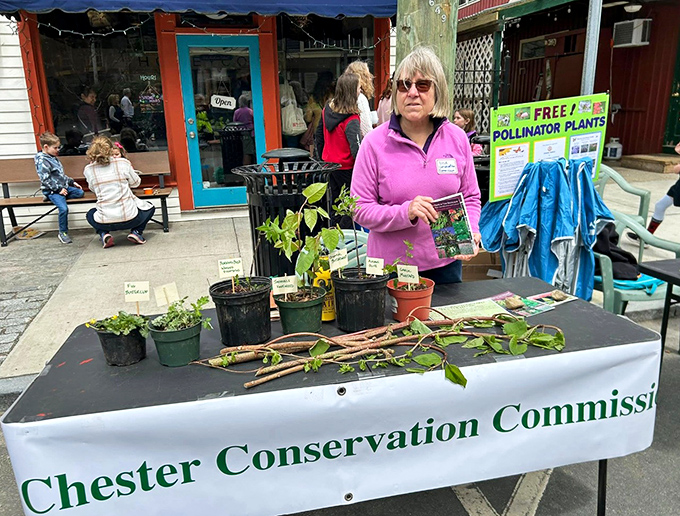 The Conservation Commission's plant giveaway embodies Chester's ethos &ndash; nurturing both community and environment with equal care and attention.