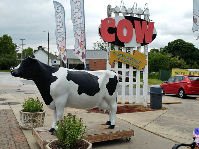 The guardian of goodness! This life-sized bovine sentinel stands watch, ensuring only the worthy approach the frozen treasures within.
