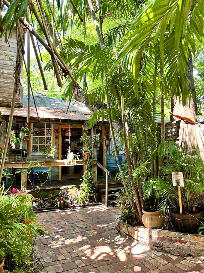 Weathered wooden buildings peek through a jungle of palm fronds, creating the perfect hideaway that feels miles from civilization, not blocks.