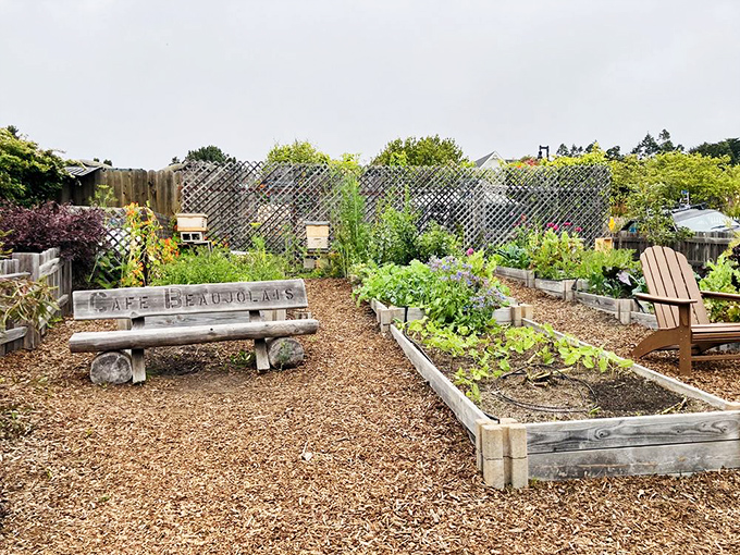 The restaurant's garden where fresh ingredients begin their journey, connecting diners directly to the source of their happiness.