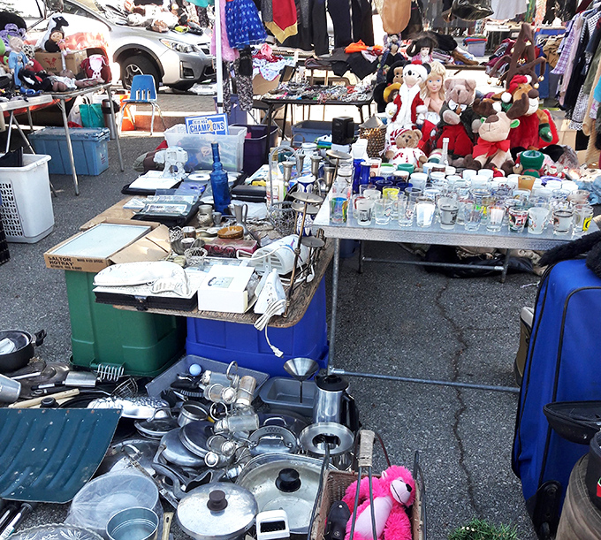 The beautiful chaos of miscellany where kitchen gadgets meet childhood toys. This is where "I didn't know I needed that" becomes "How did I live without it?"
