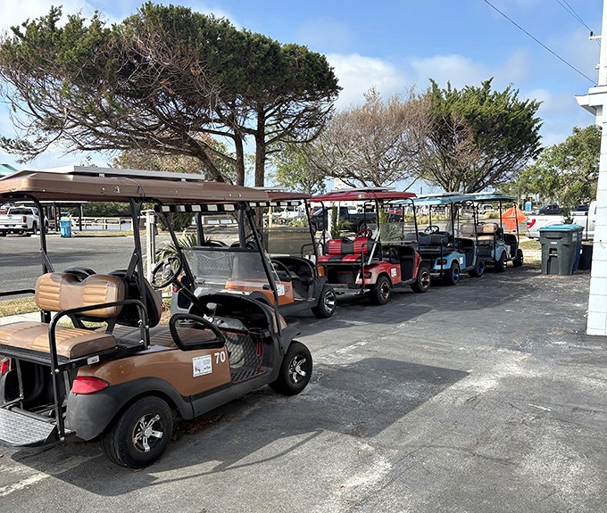 Golf carts&mdash;Cedar Key's preferred transportation&mdash;line up like patient ponies, ready to transport you at a pace that allows you to actually notice the world around you.