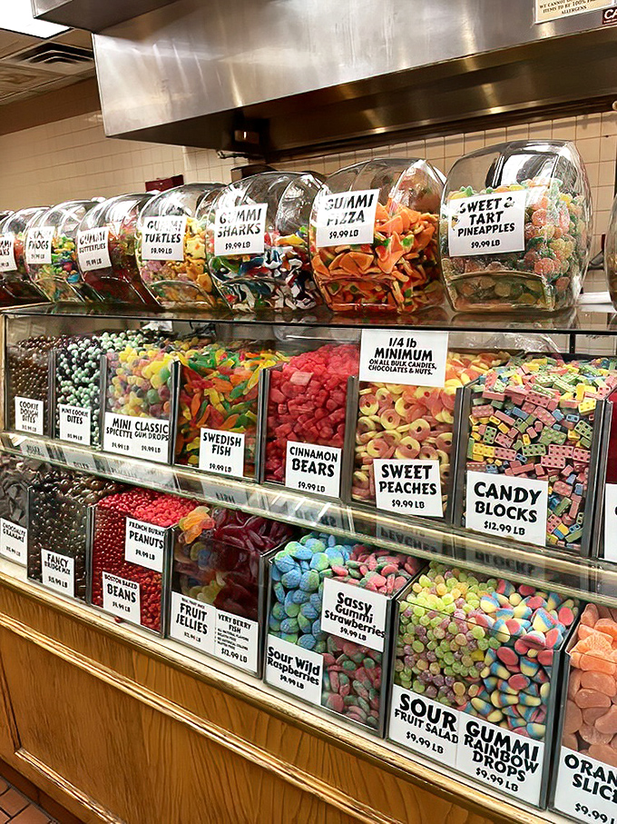 Gummy paradise where Swedish Fish swim alongside Sour Gummi Rainbow Drops in a sea of gelatinous delight.