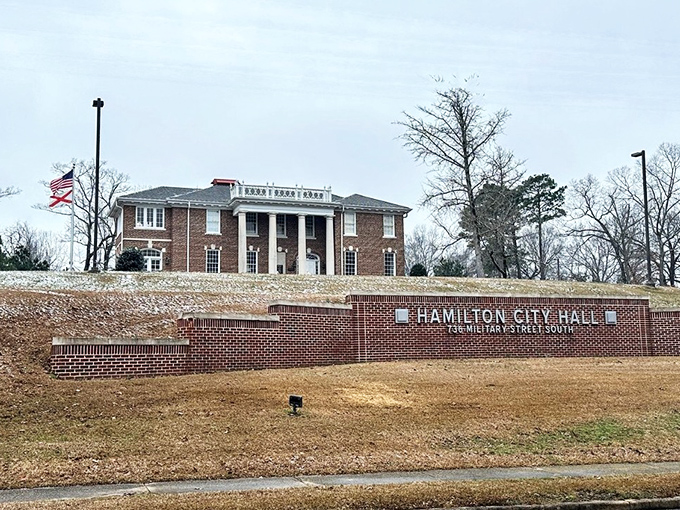 Hamilton City Hall stands proudly on its hill, like a government building that actually remembers it works for the people.