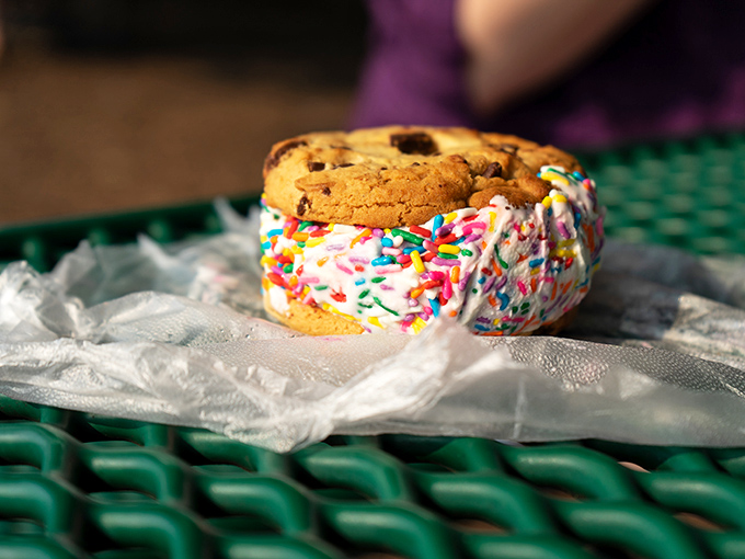 The ice cream sandwich gets a sprinkle makeover that would make your inner eight-year-old high-five your adult self for such an excellent life choice.