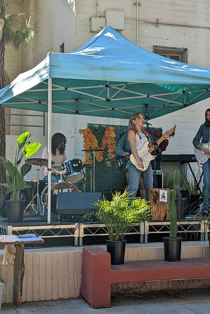 Live music that transforms shopping into an experience &ndash; where local bands provide the soundtrack to your Sunday treasure hunt.