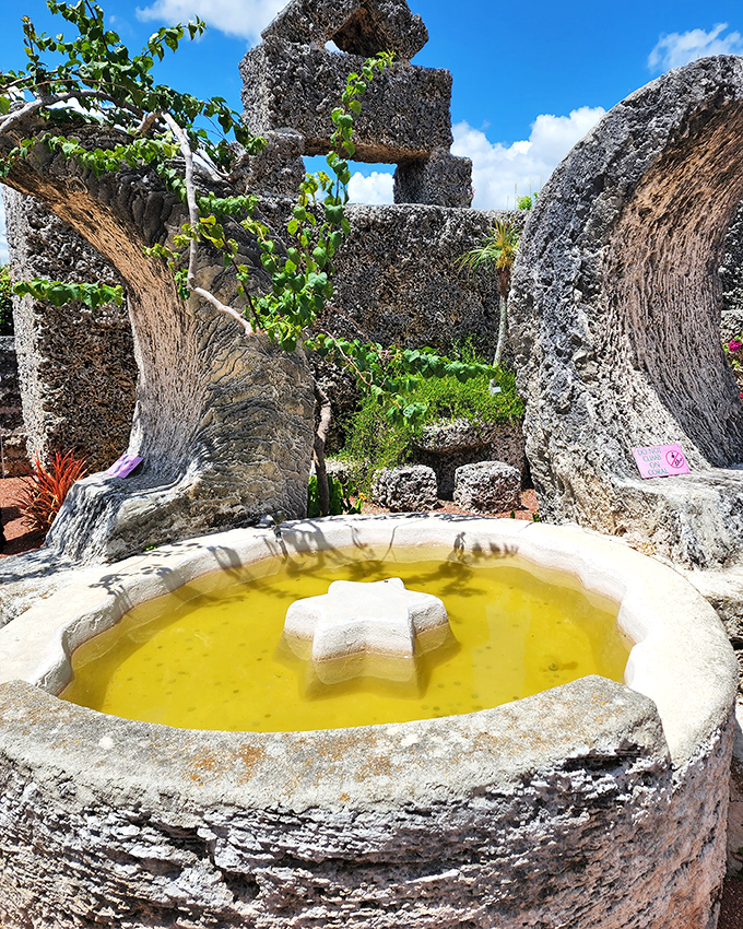 The mysterious moon fountain with its cross-shaped centerpiece. Part birdbath, part celestial monument, entirely fascinating in its golden-hued glory. 