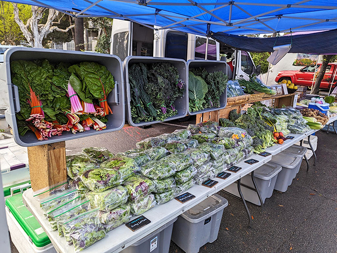 The Farmers Market's rainbow of fresh produce makes grocery shopping feel like a treasure hunt. These greens definitely weren't grown in a laboratory.