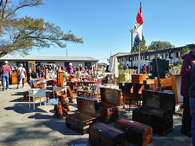 Furniture archaeology at its finest! These wooden chests and vintage pieces bask in the sunshine, waiting for someone to recognize their potential.