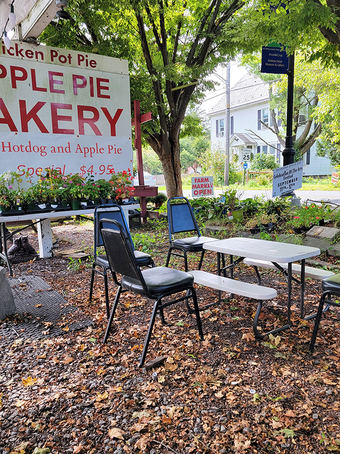 Outdoor seating under leafy trees offers a perfect spot for pie contemplation. Nature and nurture combine in this peaceful corner.