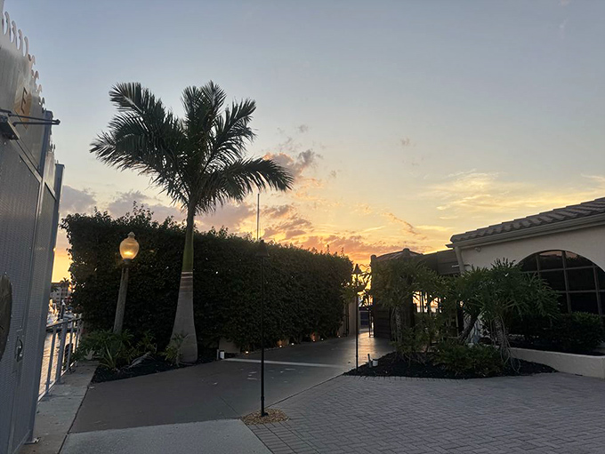 As the sun sets over PIER 22, even the palm trees seem to sigh with contentment. This is Florida dining at its most magical.