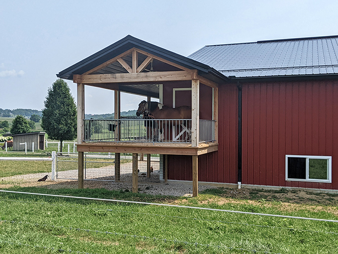 Even the animals at Hershberger's enjoy prime real estate with a view&mdash;this elevated horse porch offers countryside vistas that humans might envy.