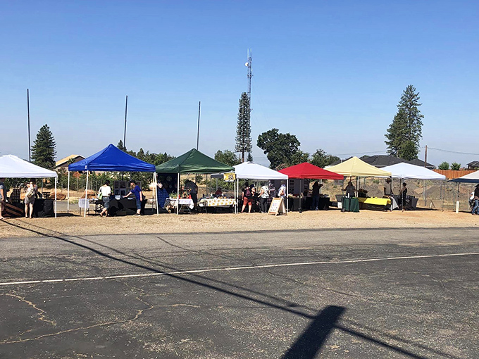 Weekend treasures await at the farmers market. Local growers and artisans transform this simple lot into a bustling community hub.