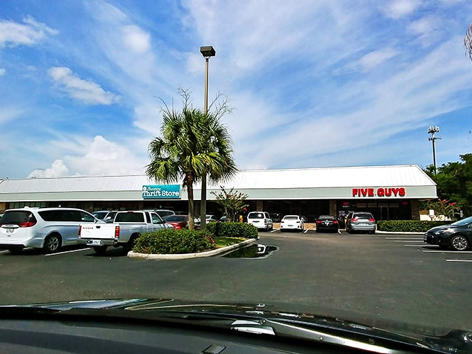 Even the parking lot tells a story&mdash;palm trees standing guard over a building that houses thousands of second chances and first discoveries.