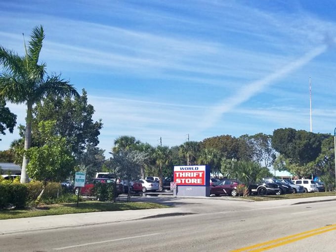 Palm trees stand guard over a packed parking lot &ndash; Florida's version of "If you build a thrift store, they will come."