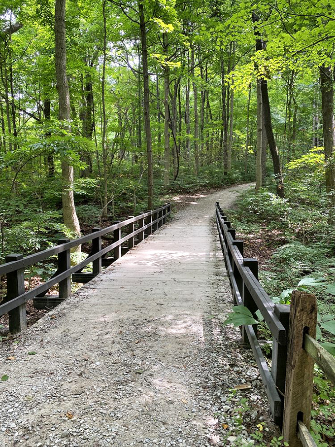 A gentle curve in the trail promises adventure around every corner, with railings that are both practical and somehow perfectly picturesque.