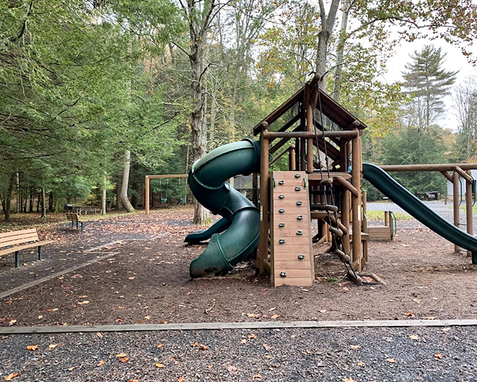 Even in nature's playground, kids need a playground &ndash; this rustic structure blends perfectly with its woodland surroundings.