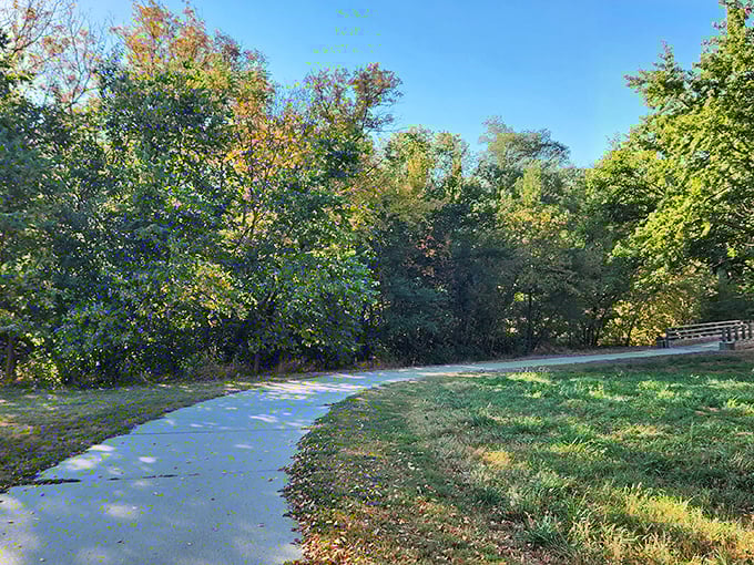 Plum Creek Park's winding paths invite contemplative strolls through dappled sunlight, where nature offers the perfect antidote to digital overload.