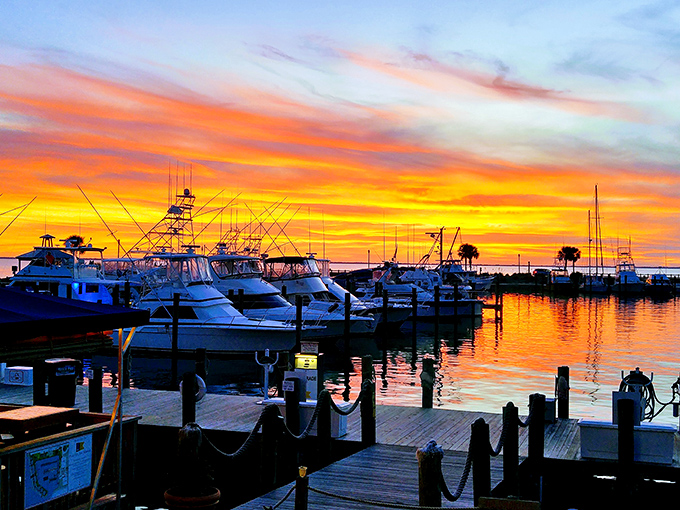 Sunset at the marina paints the sky in impossible colors. Even the boats seem to pause in appreciation of nature's nightly masterpiece.