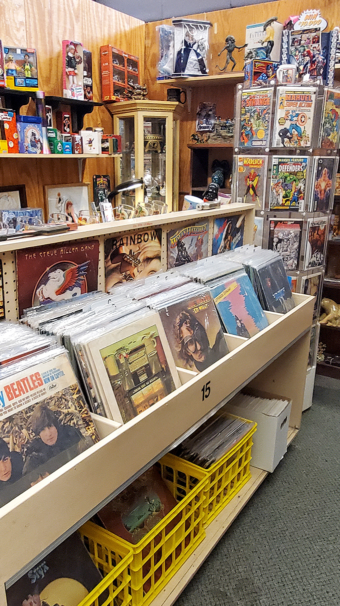 Vinyl heaven for music lovers who know albums were meant to be held, not streamed. Beatles records and vintage covers await collectors who appreciate analog magic.
