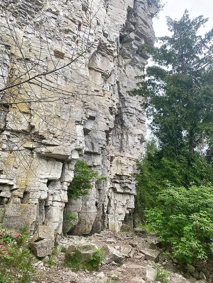 Ancient limestone cliffs tell geological stories older than any history book. Nature's architecture that makes human engineering seem temporary by comparison.