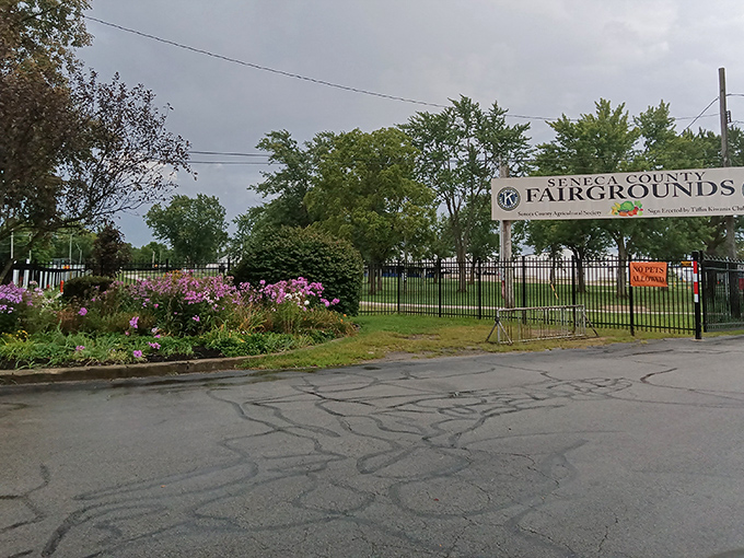 The gateway to possibility. Seneca County Fairgrounds welcomes treasure hunters with the promise that today might be the day you find that perfect something.