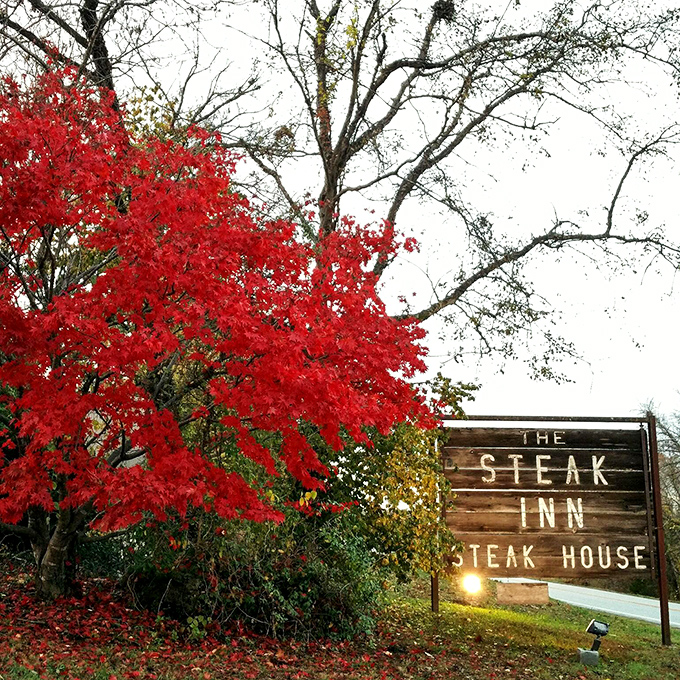 In autumn, nature provides the perfect backdrop for The Steak Inn's rustic sign—a fiery maple announcing: serious steaks ahead.