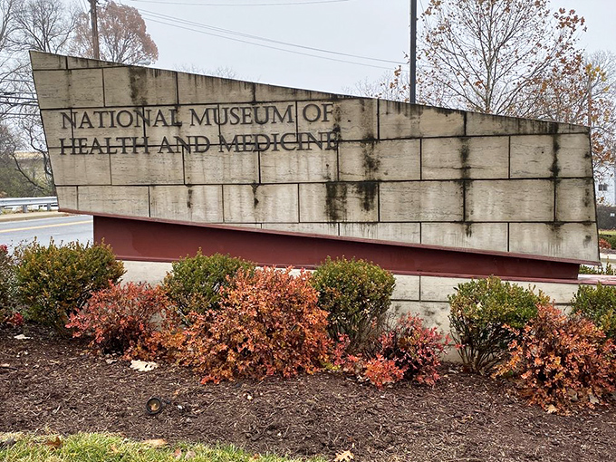 The weathered sign stands like a seasoned doctor &ndash; slightly worn but full of wisdom and stories that will change how you see the world.