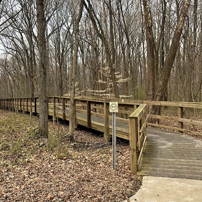 This boardwalk corner reveals that the best paths in life sometimes require a turn to discover what waits beyond the bend.