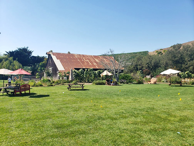 Rustic barn meets manicured lawn at this vineyard setting&mdash;proof that Cambria knows how to blend agricultural heritage with laid-back luxury.