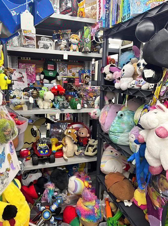 Stuffed animals with that "loved but not forgotten" look. Each plush friend waiting for a second chance at being somebody's favorite.