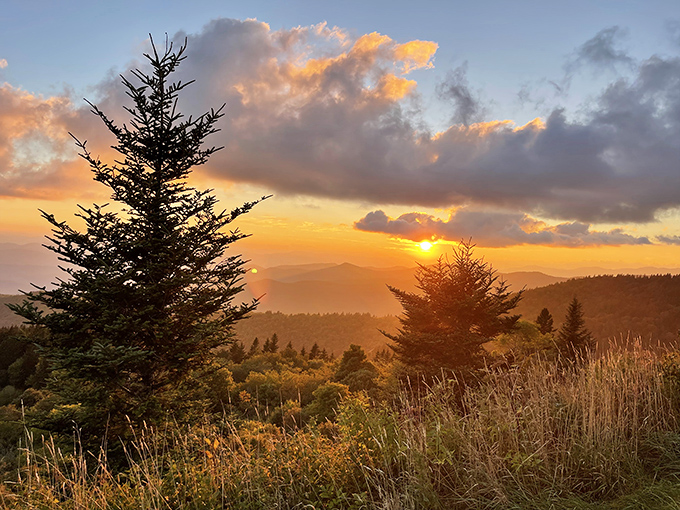 Sunset at Cowee Mountain—when the sky performs its nightly magic show and even the most dedicated smartphone addicts put down their devices in silent awe.