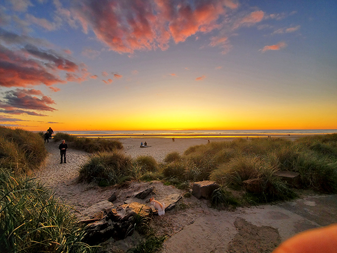 Manzanita sunsets don't just end the day &ndash; they throw a technicolor farewell party that makes you grateful for having eyes.