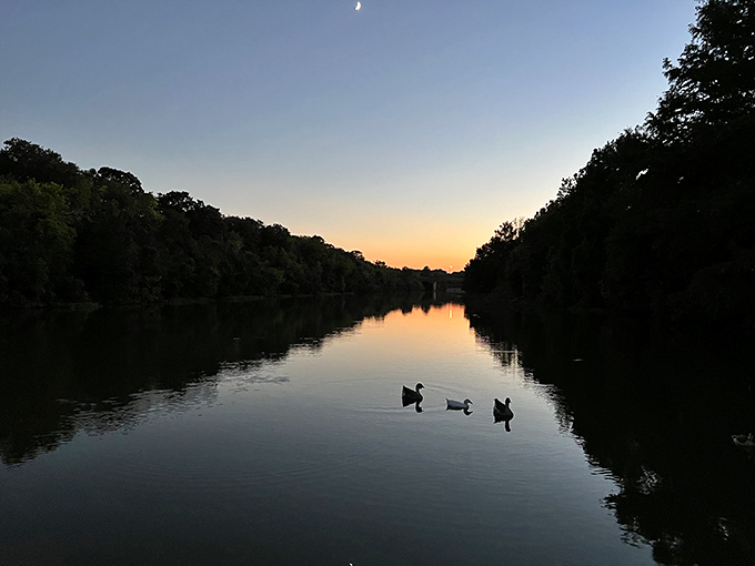 As the sun sets, ducks create silhouettes against the golden water. The perfect finale to a day spent reconnecting with what matters.