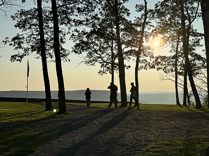 Golden hour magic. As the sun dips below the horizon, these silhouetted visitors become part of a painting that no gallery could contain.