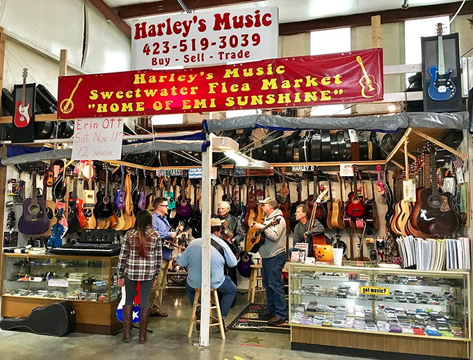 Harley's Music Shop isn't just selling instruments&mdash;it's offering the soundtrack to your next chapter, where every guitar holds the promise of front porch jam sessions.