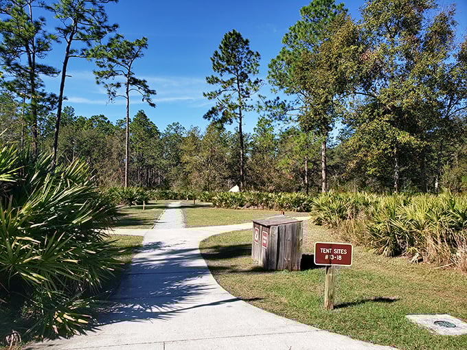 The path less traveled leads to tent sites tucked among palmettos. Your temporary address in a neighborhood where wildlife outnumbers people.