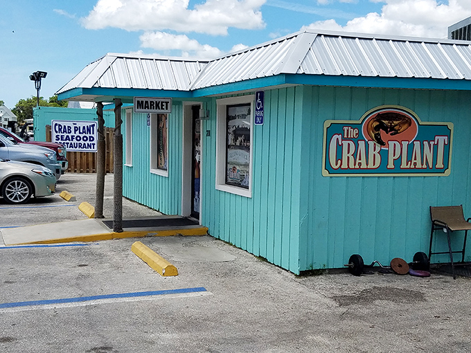 The Crab Plant's turquoise exterior is like a beacon for seafood lovers &ndash; promising the freshest catch this side of catching it yourself. 