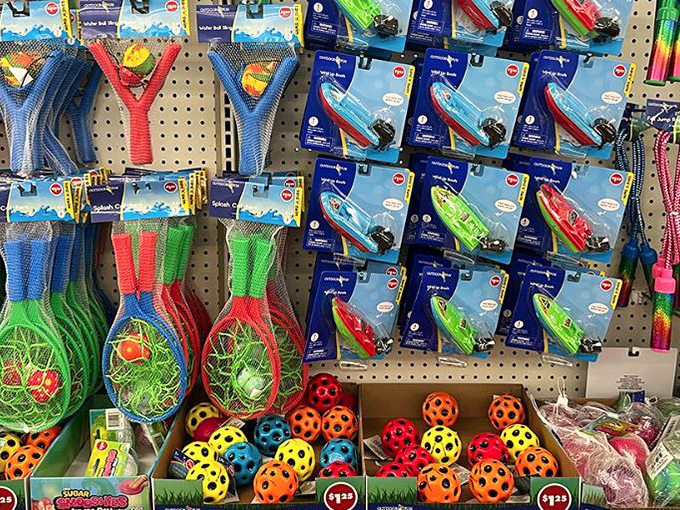 Summer fun on a shoestring: mesh ball catchers and water toys promising hours of entertainment without the premium sporting goods markup.