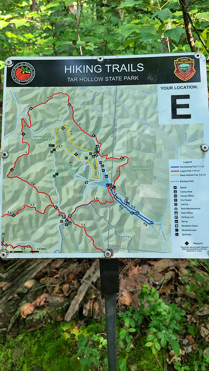 Trail maps: the original GPS system that never loses signal, doesn't talk back, and somehow makes getting a little lost part of the fun.