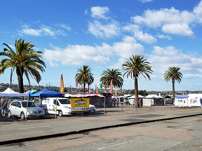 Palm trees stand sentinel over a sea of white tents, nature's exclamation points punctuating this distinctly Southern Californian weekend ritual.