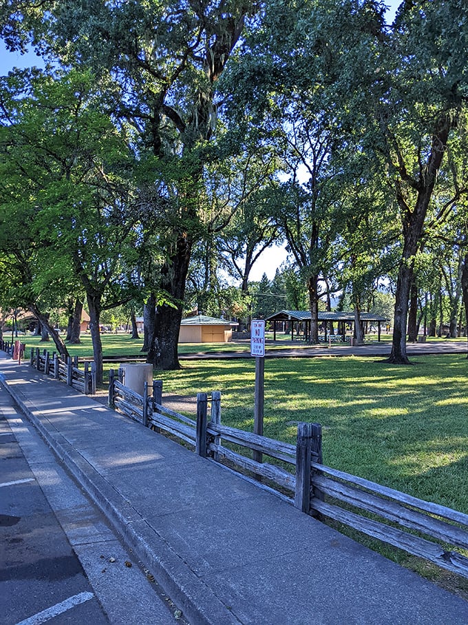 Tree-lined pathways invite leisurely strolls through town parks where nature and community blend in perfect harmony.