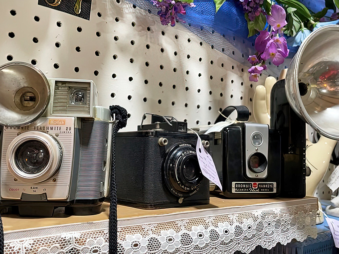 Vintage cameras that captured moments long before "selfie" entered our vocabulary. Each one a mechanical marvel that turned life into lasting memories.