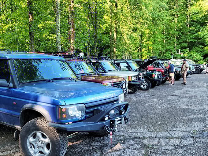Adventure awaits the well-prepared! These rugged vehicles stand ready to transport outdoor enthusiasts to wherever the trail may lead.
