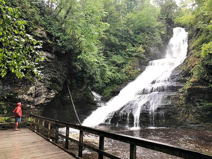 The viewing deck provides front-row seats to one of nature's most spectacular and powerful performances.