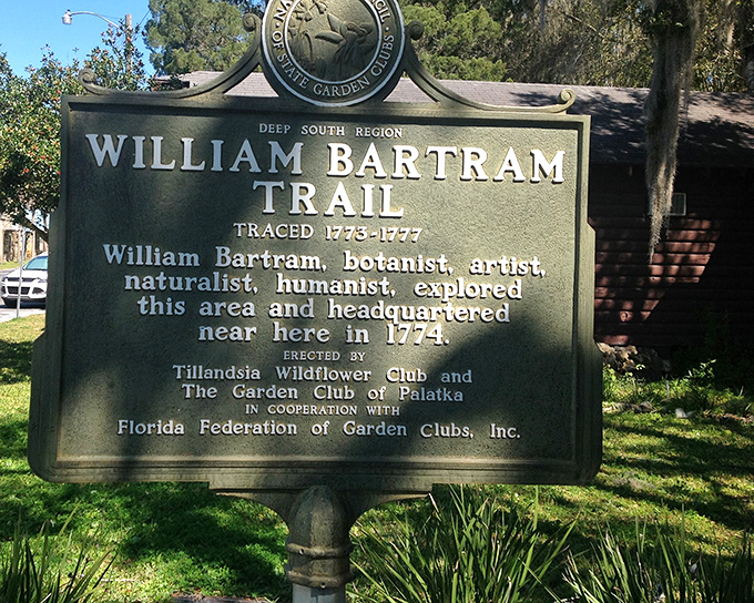 History meets botany at the William Bartram Trail, where you can walk in the footsteps of America's first plant influencer.